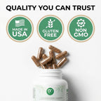 1000 mg Cinchona Bark health benefits