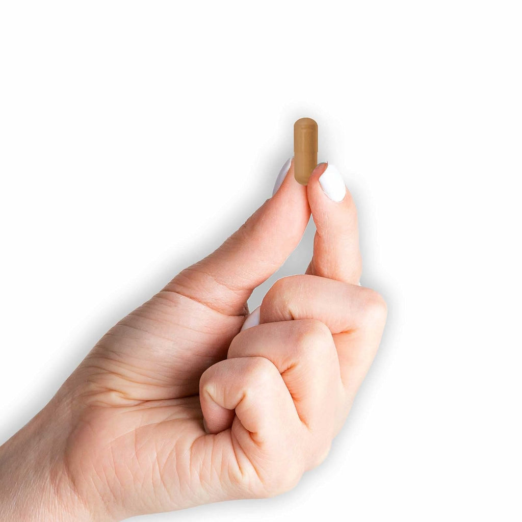 1000 mg cinnamon supplement for digestion