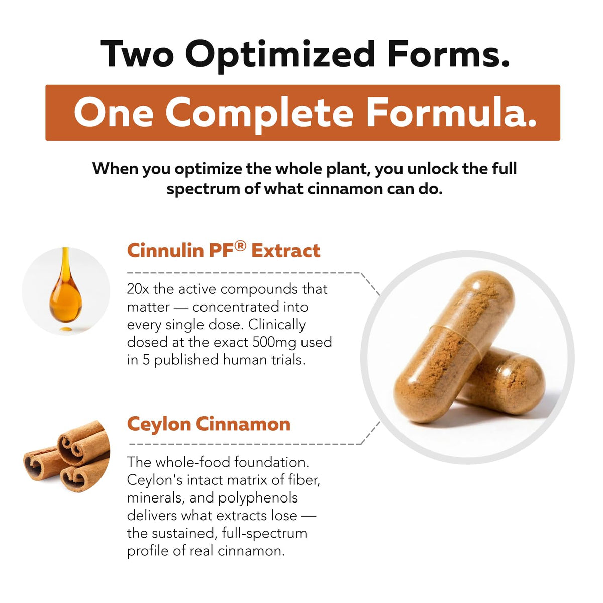 1000 mg cinnamon supplement