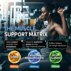 1000 mg creatine per serving
