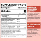 1000 mg garcinia cambogia supplement
