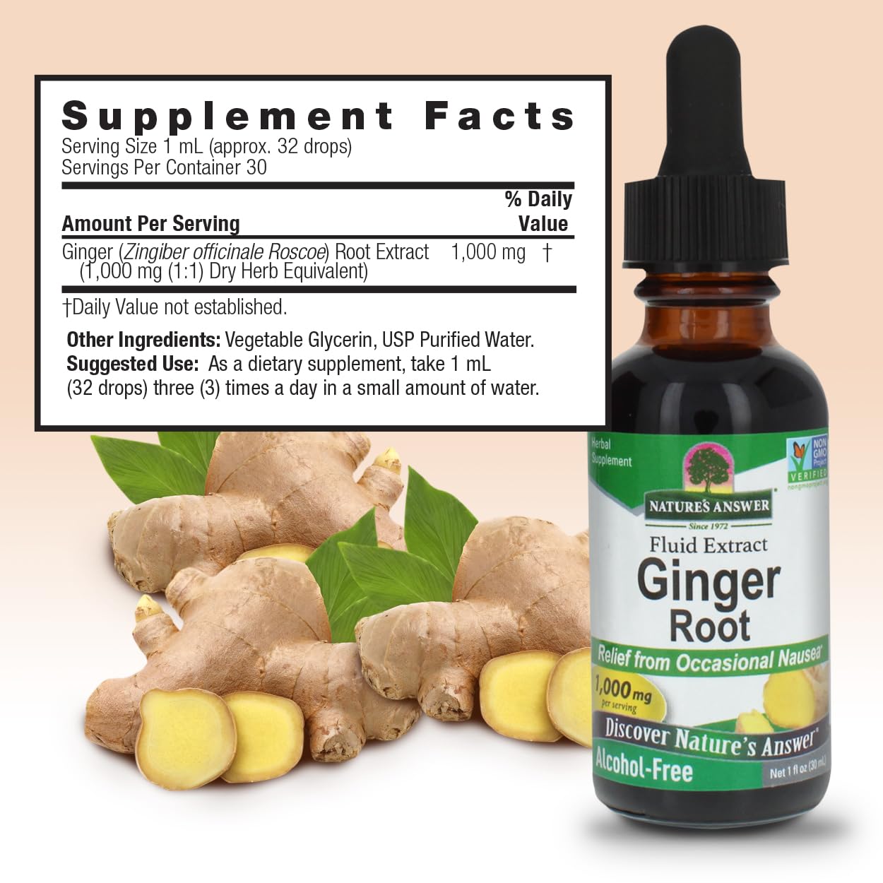 1000 mg ginger root extract