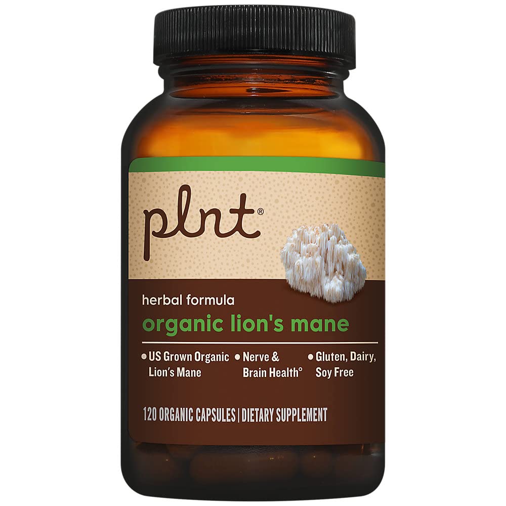 1000 mg Lion's Mane for focus