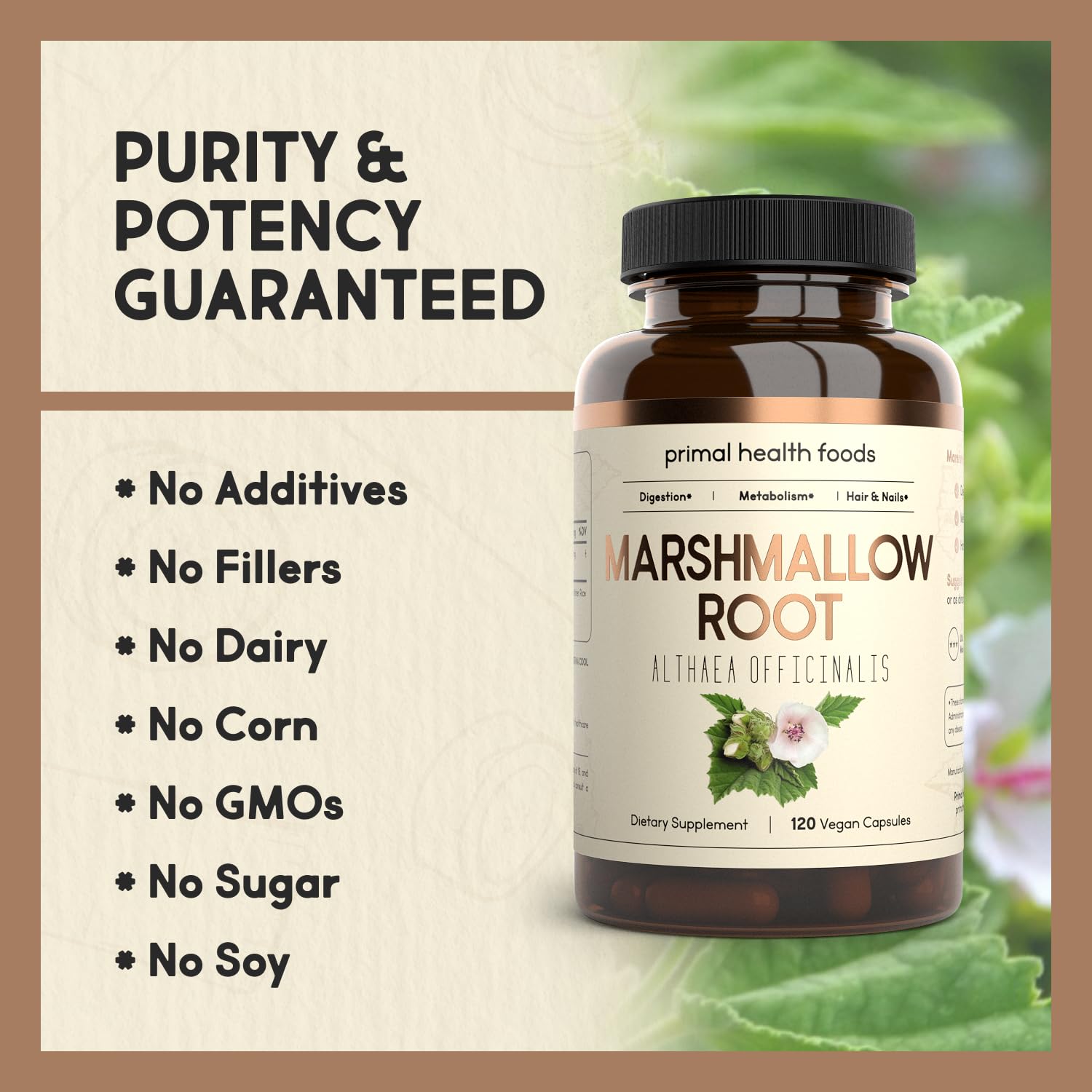1000 mg marshmallow root dosage