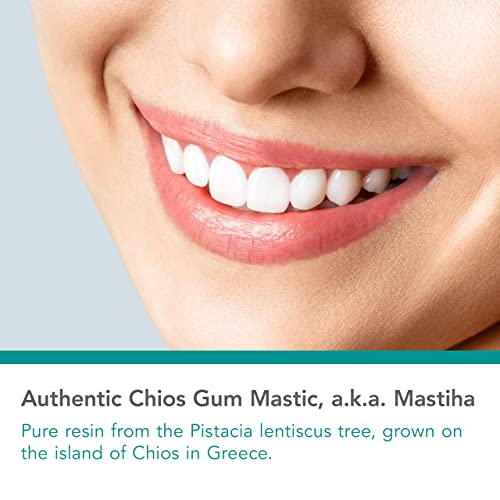 1000 mg mastic gum benefits