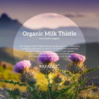 1000 mg milk thistle extract
