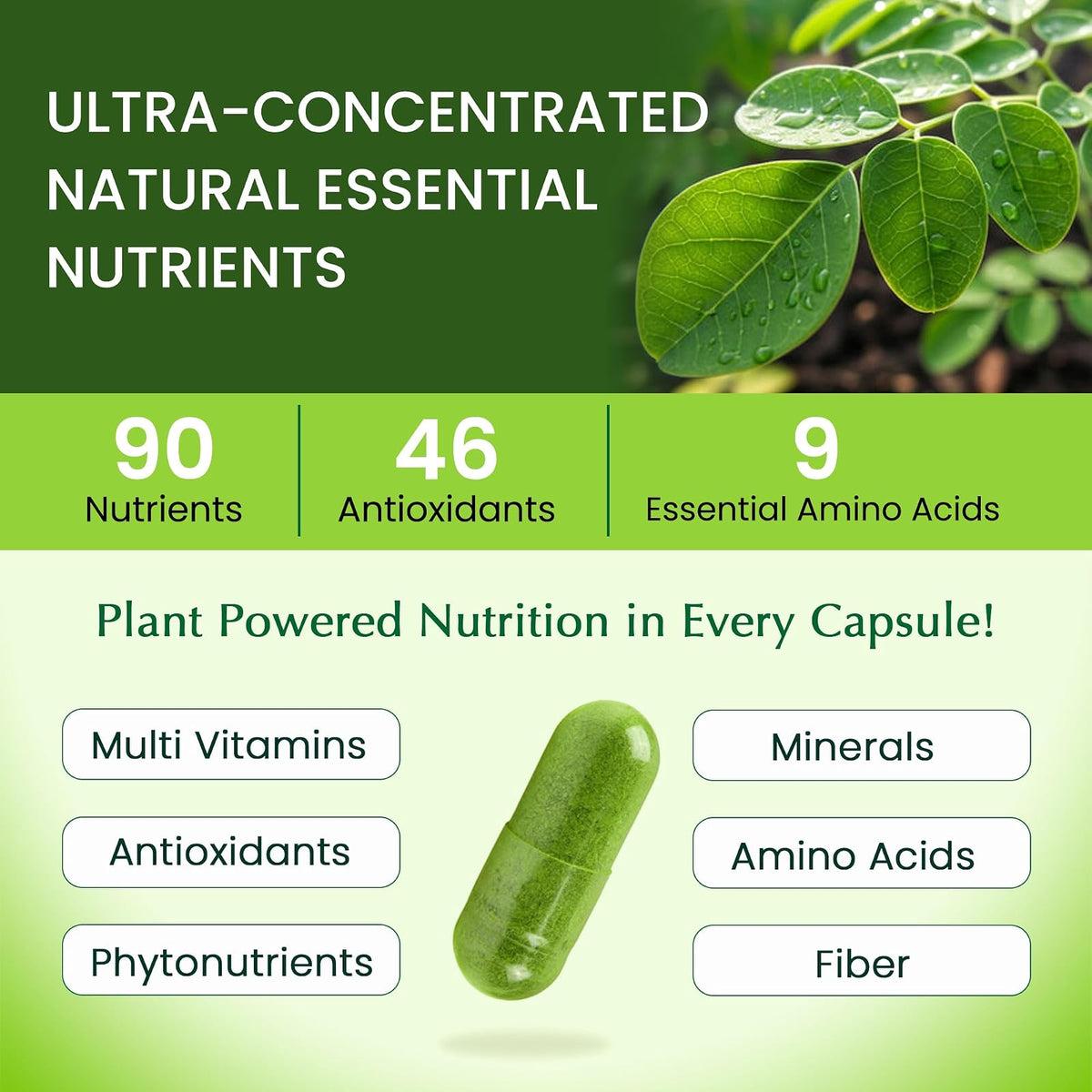 1000 mg moringa for daily nutrition