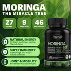 1000 mg Moringa powder benefits