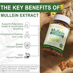 1000 mg Mullein gummies for immune boost