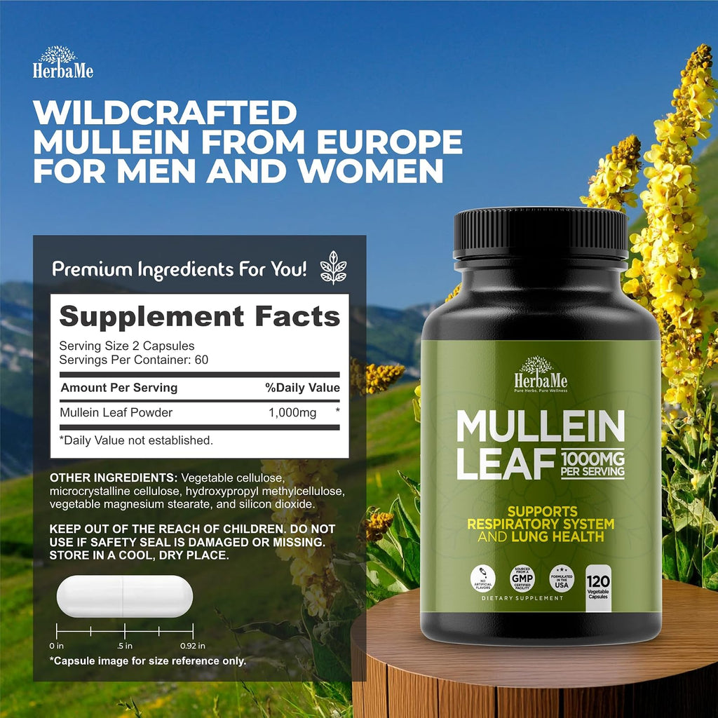 1000 mg Mullein Leaf for natural wellness