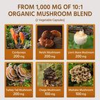 1000 mg mushroom supplement benefits