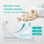 1000 mg NAD+ capsules for vitality