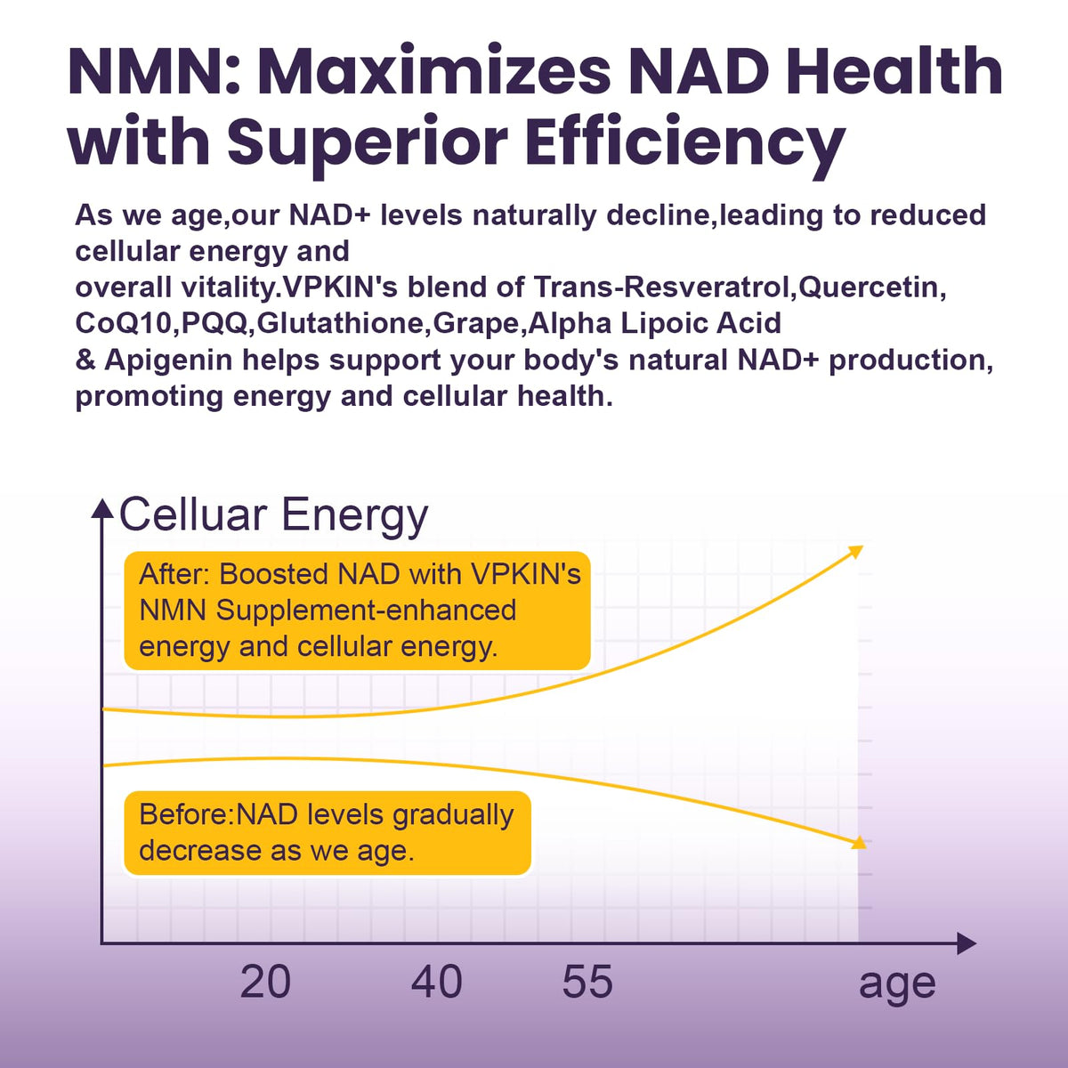 1000 mg NMN for vitality