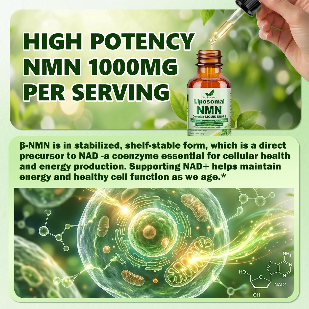 1000 mg NMN supplement benefits