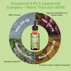 1000 mg NMN supplement for vitality