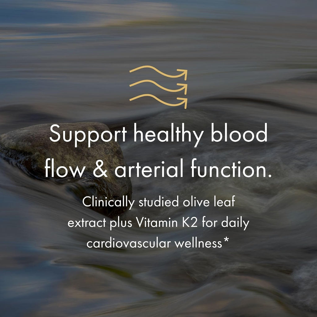 1000 mg olive leaf extract dosage