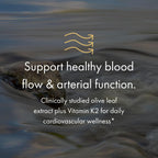 1000 mg olive leaf extract dosage