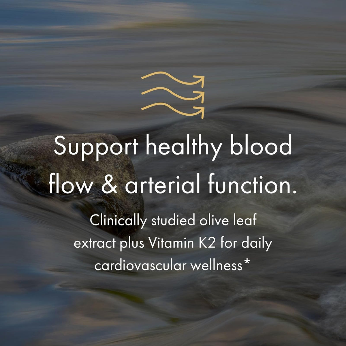1000 mg olive leaf extract dosage