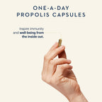 1000 mg Propolis capsules for wellness