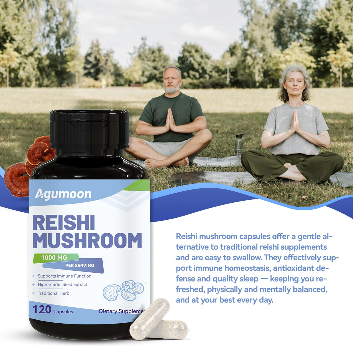 1000 mg Reishi health benefits