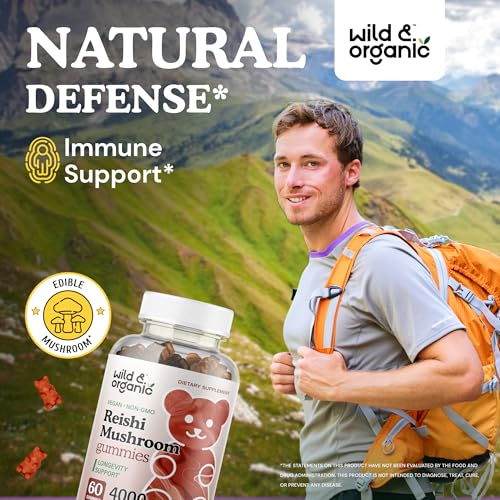 1000 mg reishi mushroom benefits