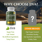 1000 mg Shilajit gummies for vitality