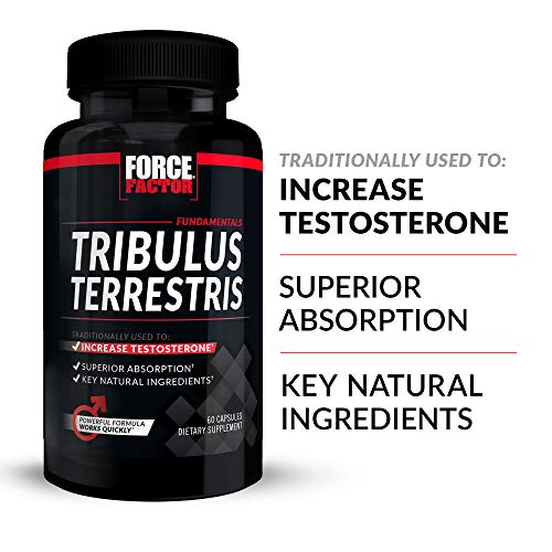 1000 mg Tribulus for muscle support