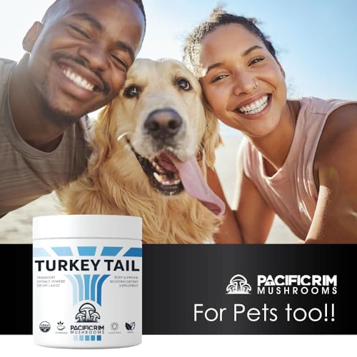 1000 mg Turkey Tail mushroom extract