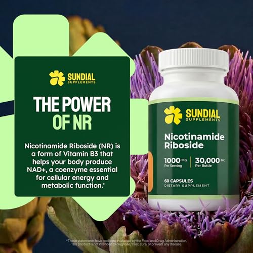 1000 mg Vitamin B3 supplement
