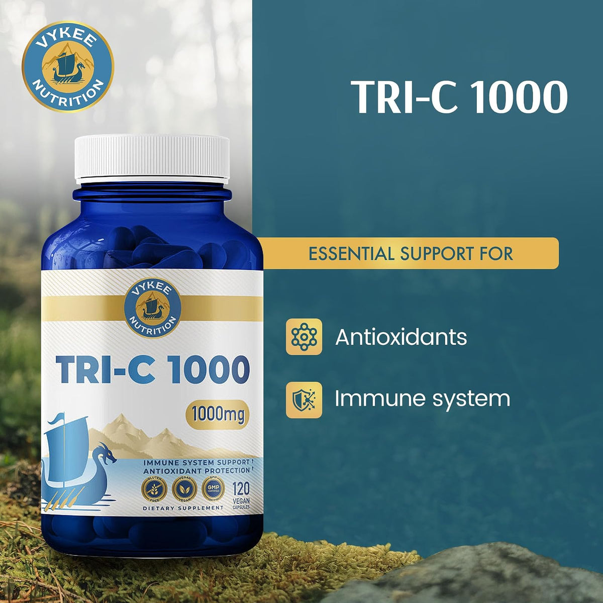 1000 mg Vitamin C complex benefits
