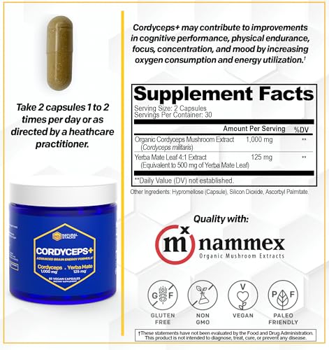 1000mg fruiting body mushroom extract