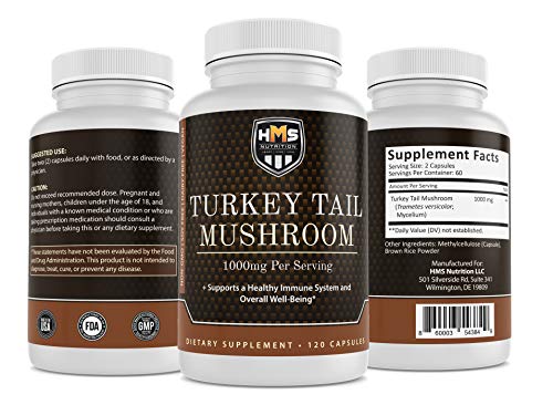 1000mg Turkey Tail mushroom benefits