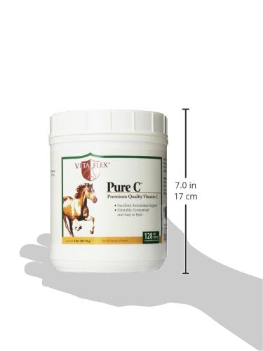 1000mg vitamin C antioxidant support