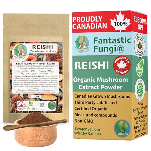 100g concentrated mushroom powder