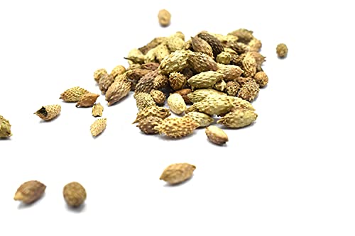 100g container vitamin blend
