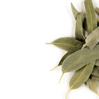 100g eucalyptus leaves for tea blends
