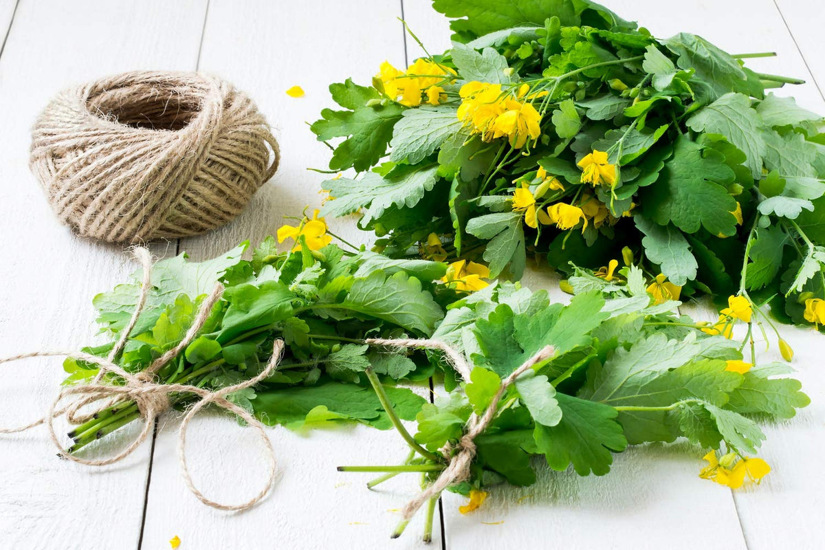100g Health Embassy herbal supplement