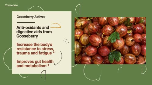 100g Immunitea Defense package