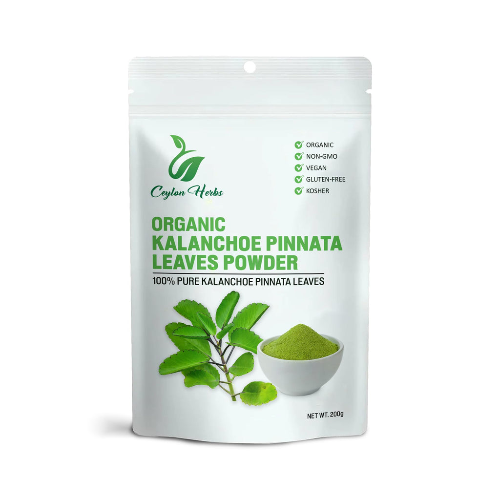 100g Kalanchoe Pinnata leaves powder
