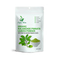 100g Kalanchoe Pinnata leaves powder