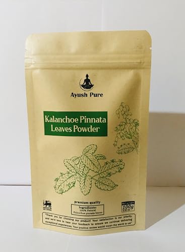 100g Kalanchoe Pinnata leaves powder