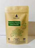 100g Kalanchoe Pinnata leaves powder