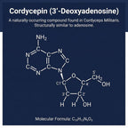 100g pack of cordyceps mushroom powder