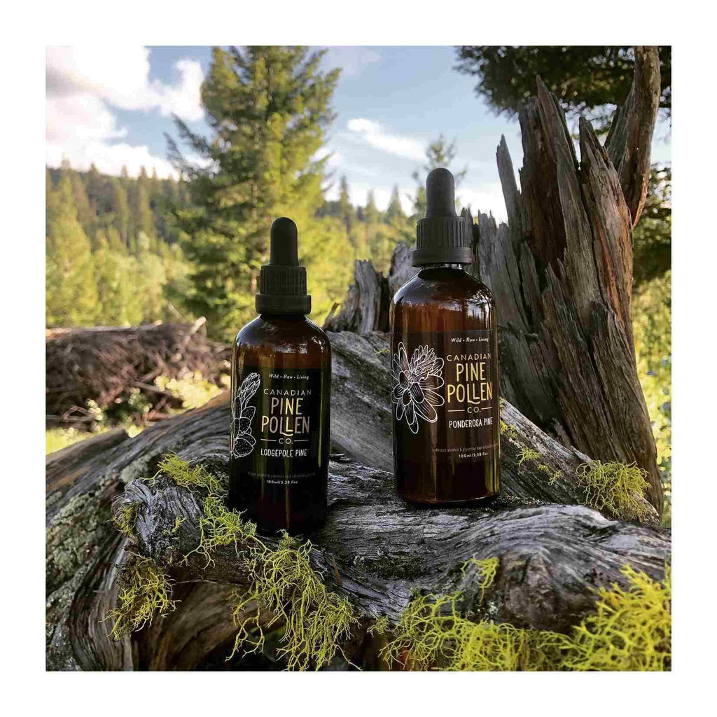 100ml pine pollen health boost