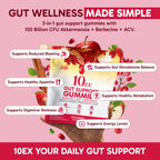 10ex herbal gummies for digestion