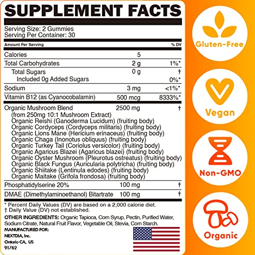 10x mushroom blend for cognitive support