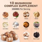 10x mushroom supplement for energy