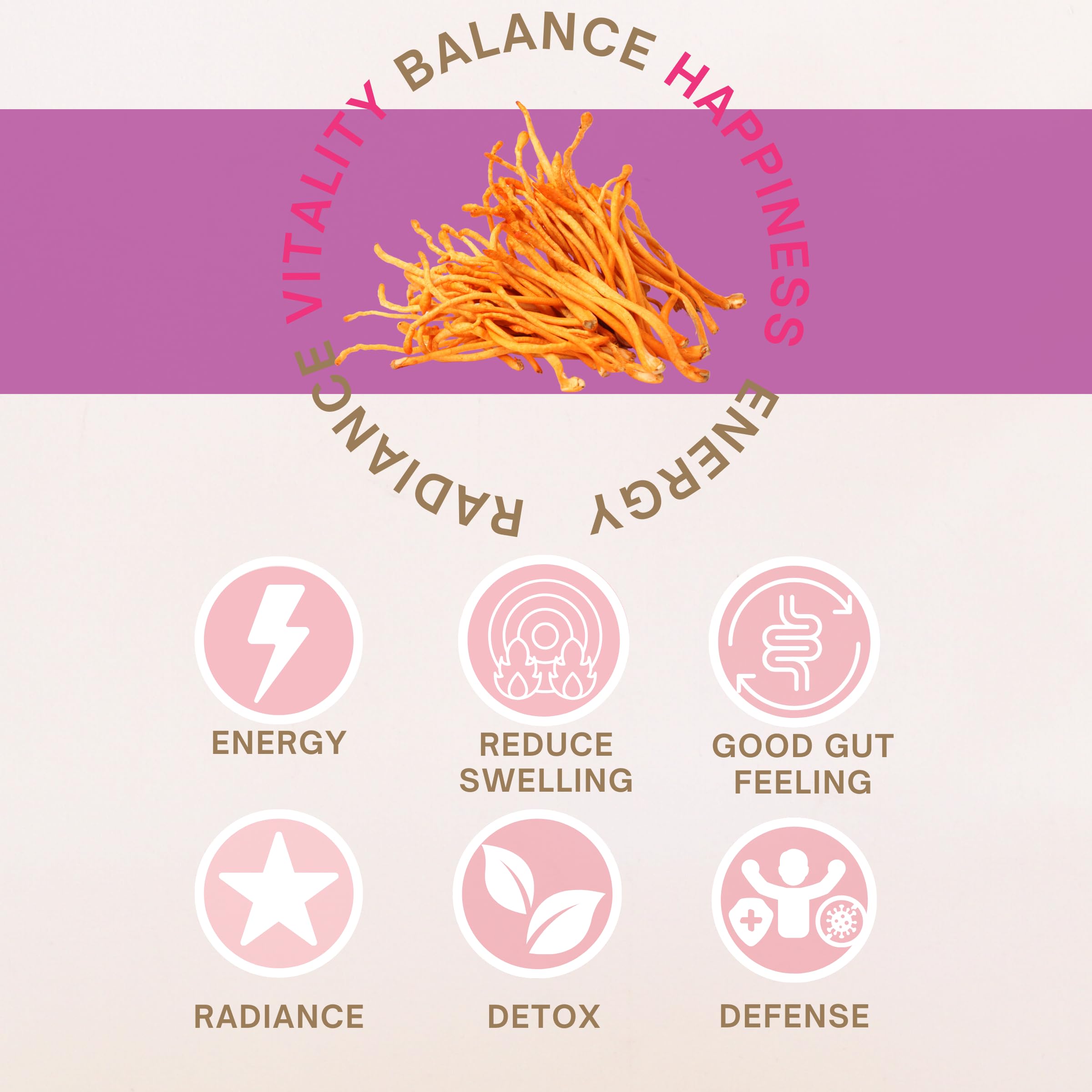 11 TLC cordyceps mushrooms for vitality