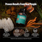 12:1 extract mushroom blends for vitality