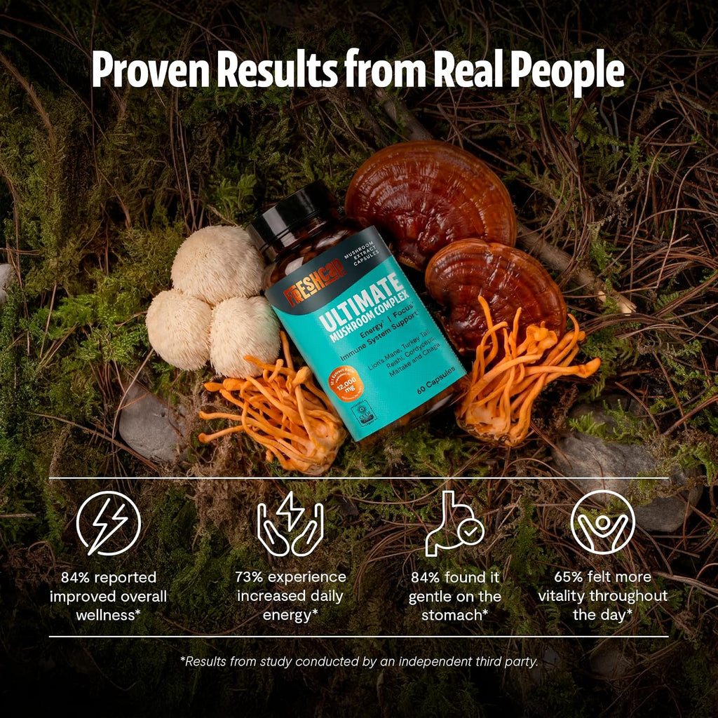 12:1 extract mushroom supplement benefits